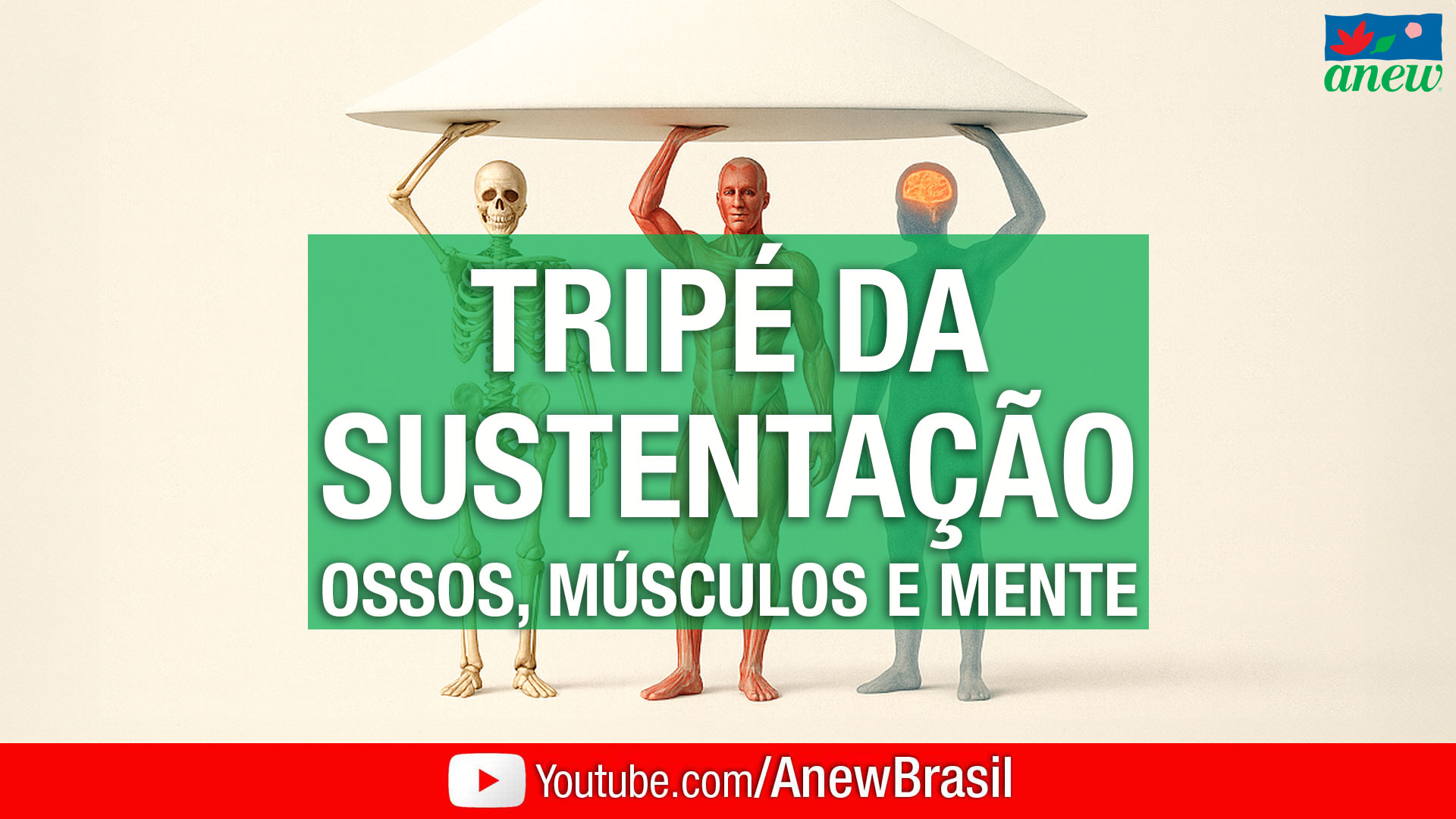 Tripé da Sustentação: Magnésio, Vitaminas D3 e K2 - Anew